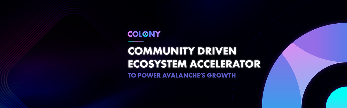 Colony’s First Newsletter. Welcome to Colony’s monthly newsletter… | by ...