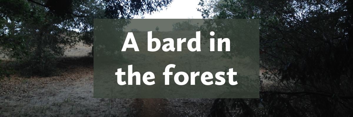 A bard in the forest | by Niels Teunis | Medium