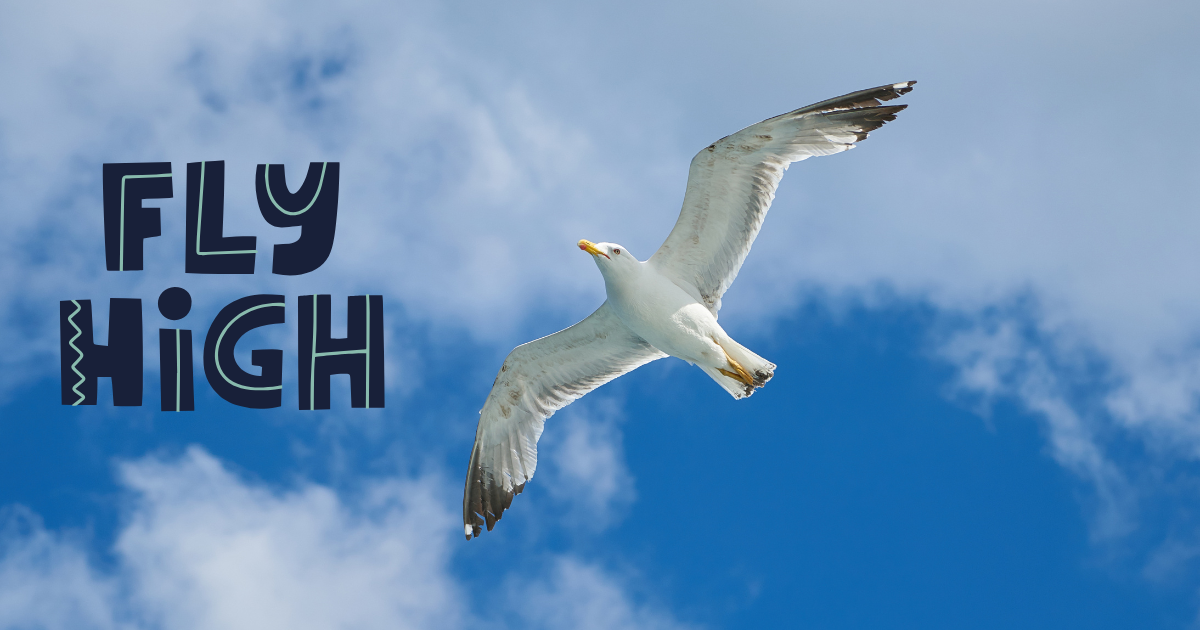 Turn Your Pain to Power and Keep Flying High | by Bilikis Sambo- Olumoh ...