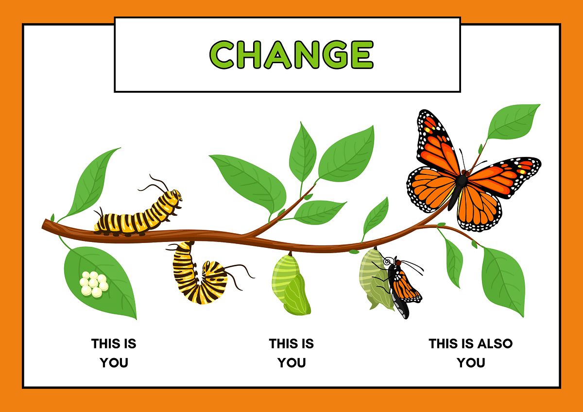 Understanding the Nature of Change | by Magda Jagucka | Medium