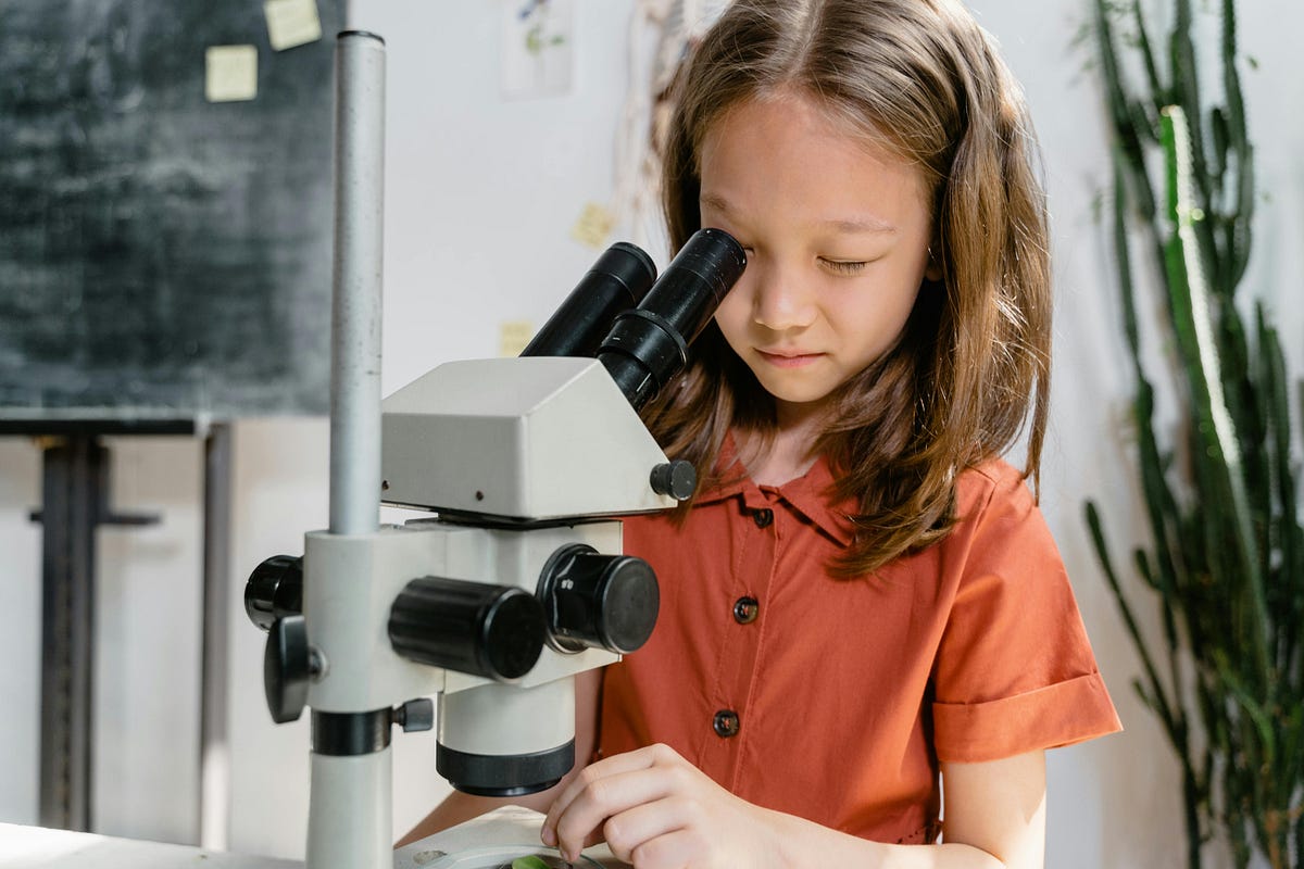 Transform STEM education with Moodle LMS | by Moodle | March, 2024 ...