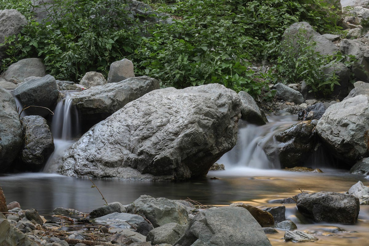 Listening to Your Inner Voice. A reflection on trusting your natural ...