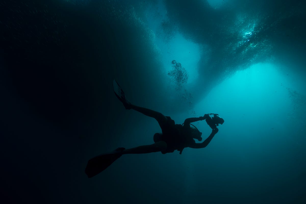 This is the future of fishing. Tech innovation and ocean conservation ...