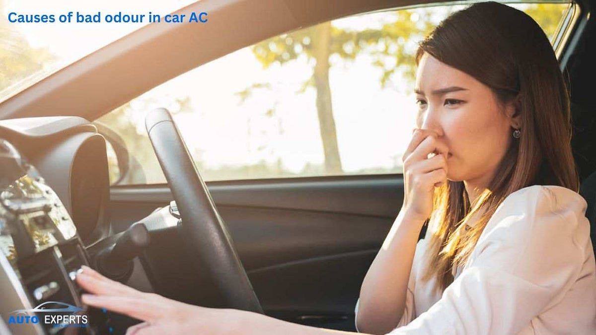 Causes of Bad Odor in Car AC: Identifying the Source and Solutions | by ...