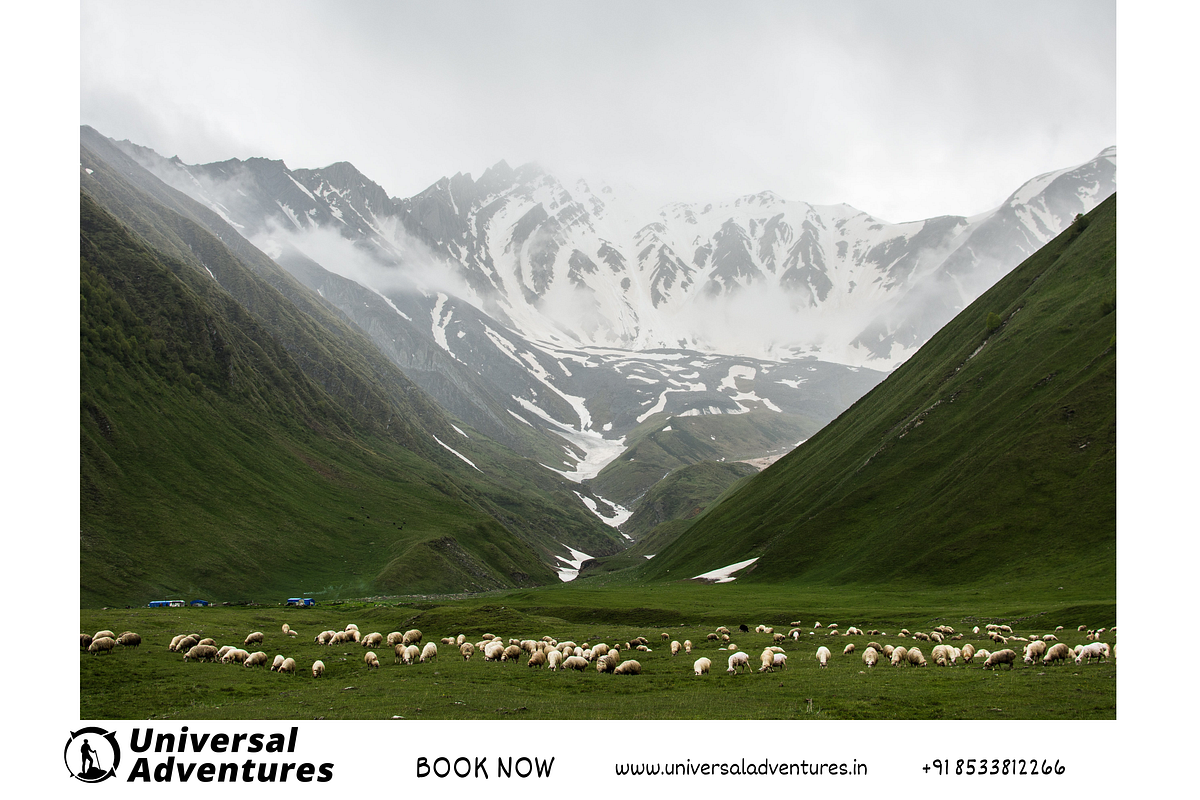Triund Trek Mcleodganj: 10 Major Highlights | by Travelblogadventure ...