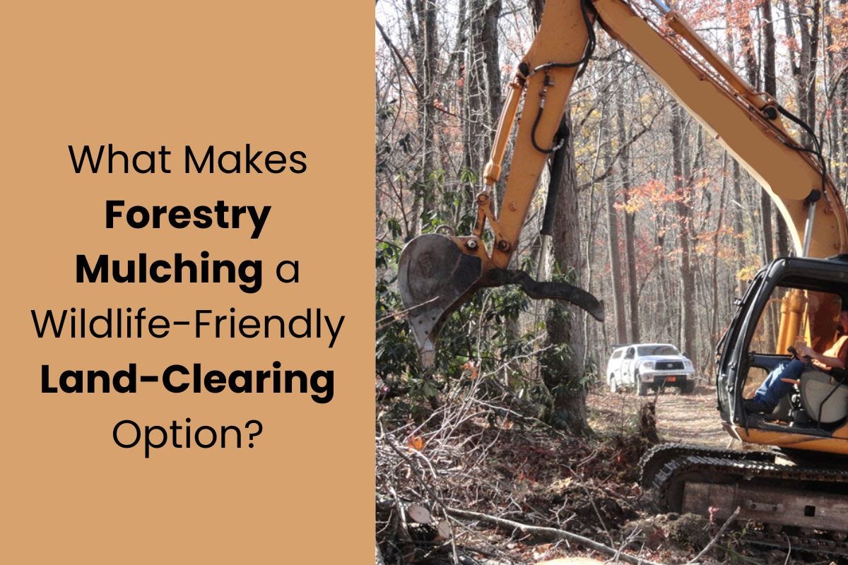 What Makes Forestry Mulching a Wildlife-Friendly Land-Clearing Option ...