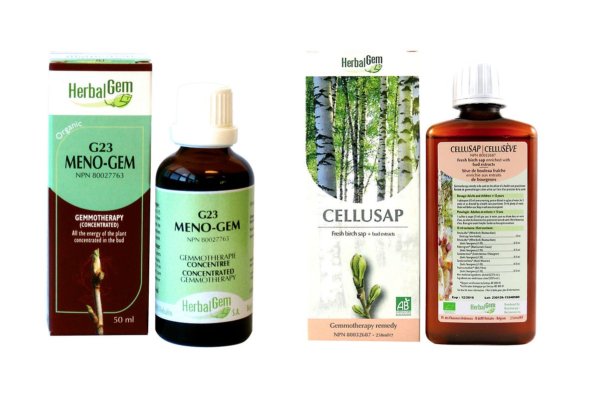 What is Gemmotherapy?. Phytotherapy is the use of plant-based… | by ...