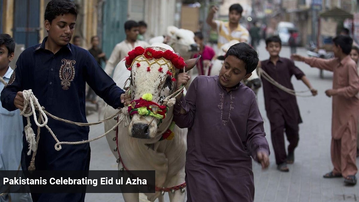 Pakistanis Celebrating Eid ul Azha: Embracing Traditions, Unity, and ...