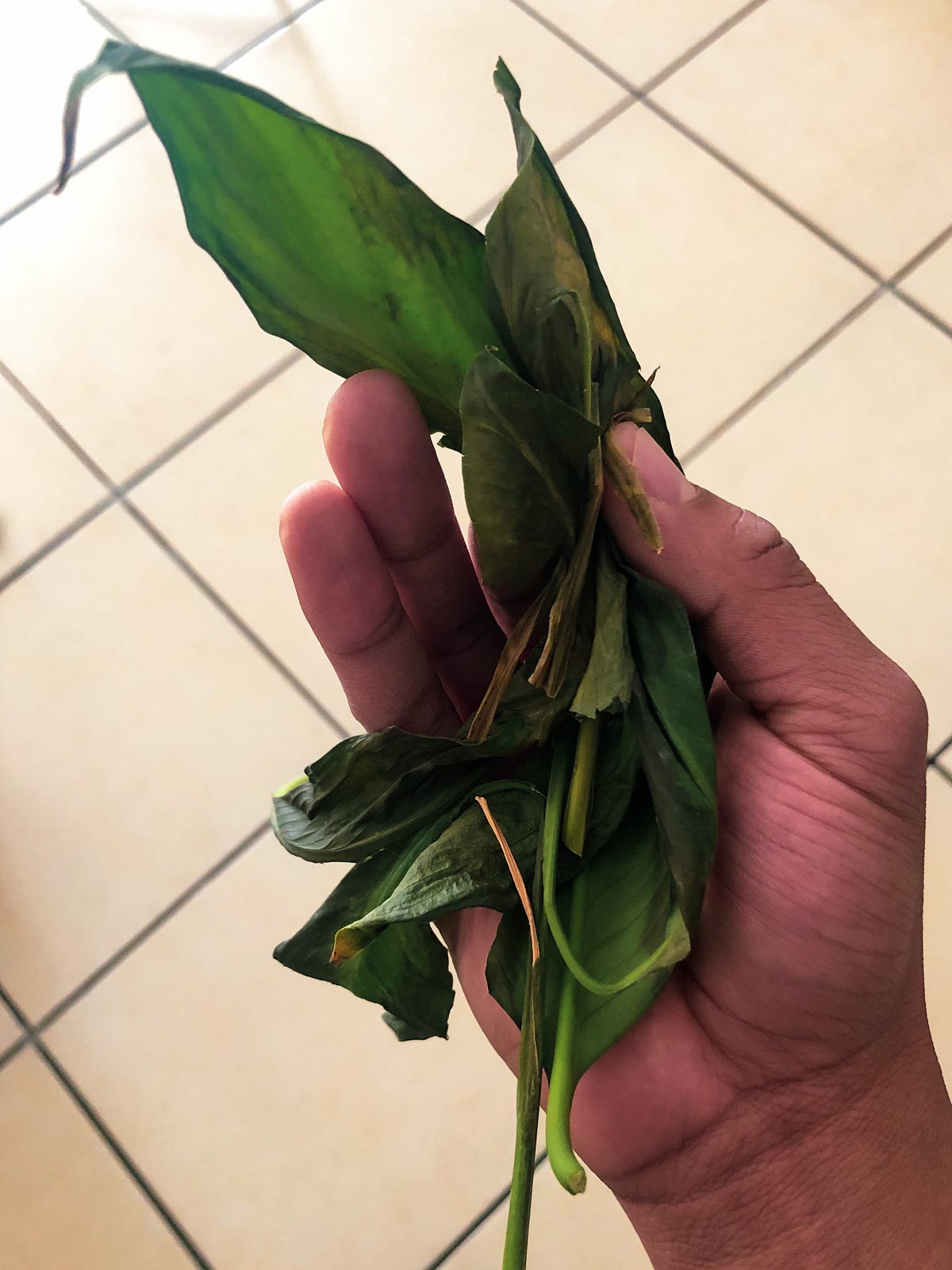 Acts of Enjoyment. Being again, with an open heart — Part… | by Nkosana ...