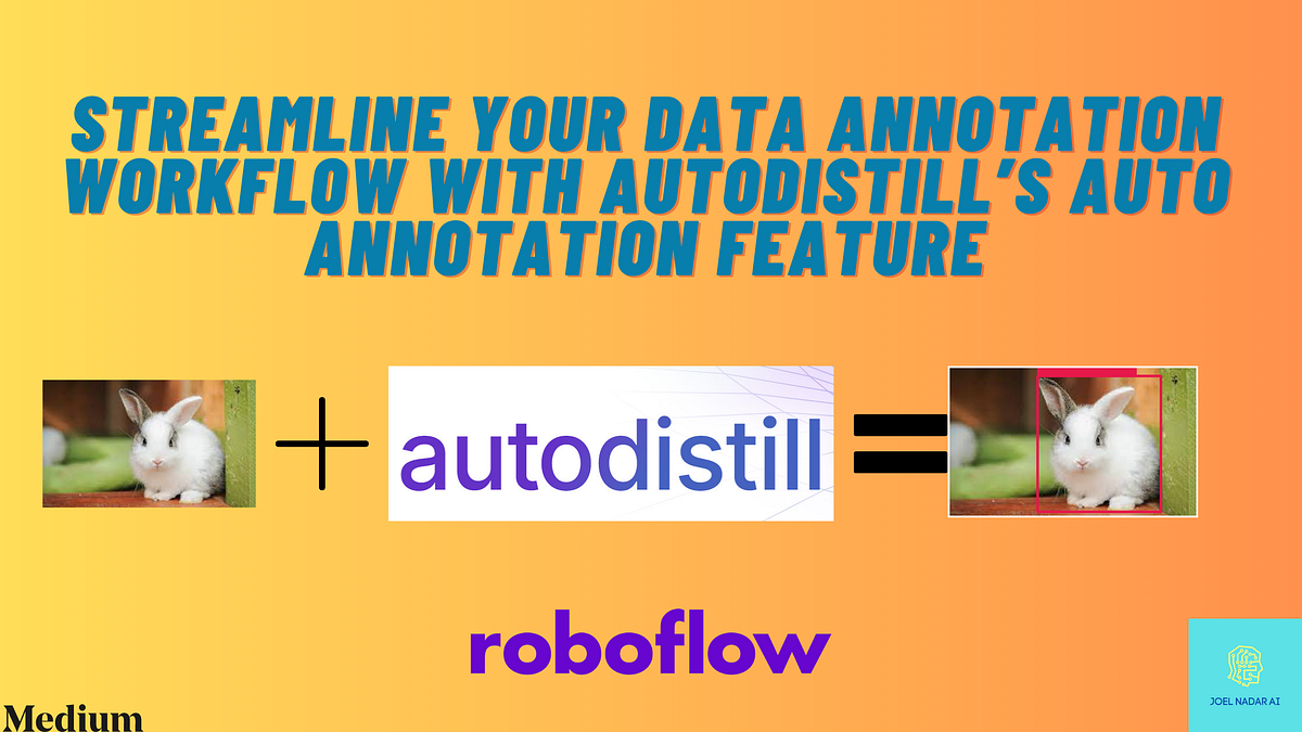 Streamline Your Data Annotation Workflow with AutoDistill’s Auto Annotation Feature | by JOEL ...