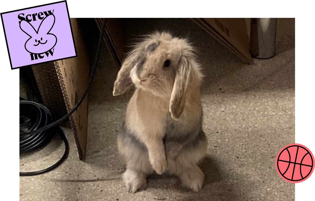 How do we handle multi-modules navigation on our Android app | by Philippe BOISNEY | Back Market ...