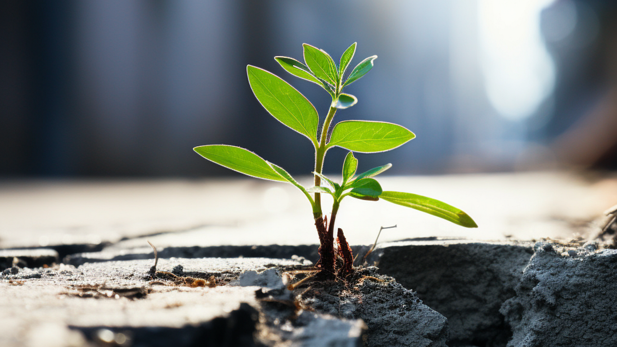 Navigating Scrum Master Interviews: Overcoming Resistance to Scrum | by Mirko Perkusich | Medium