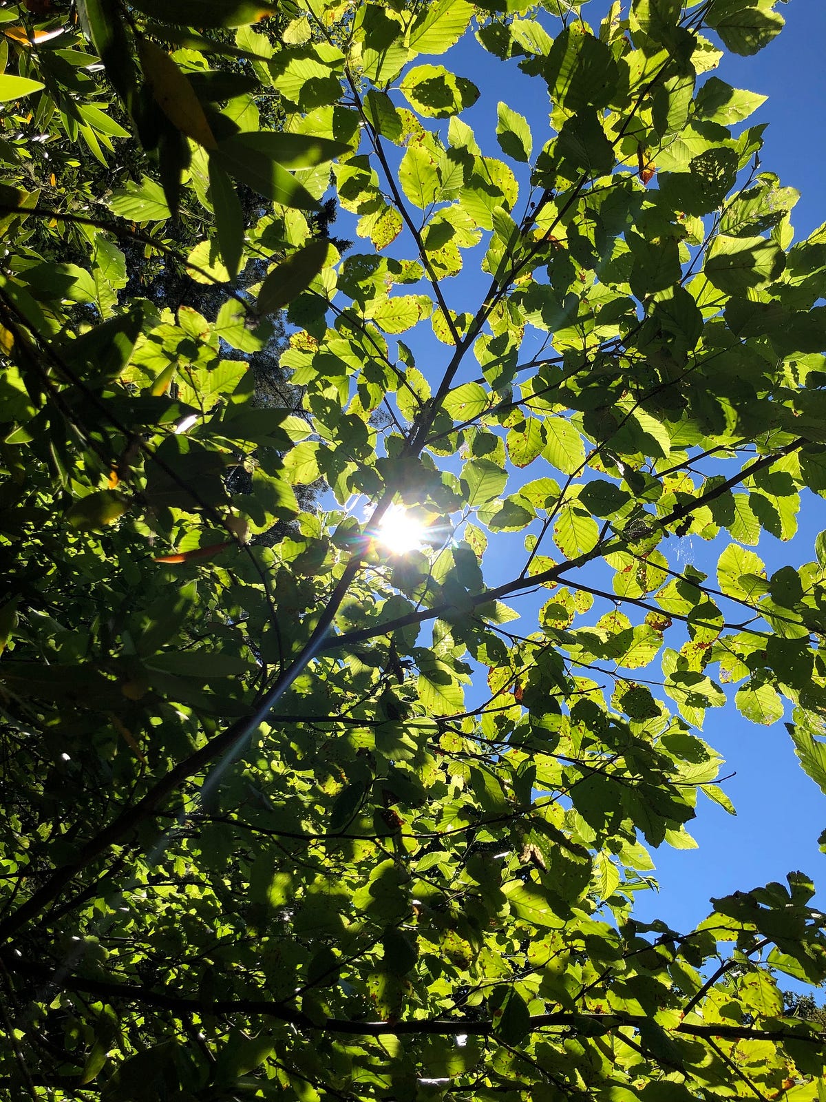 How I learned to Proudly Pee “like a man” in Nature | by Colleen M ...