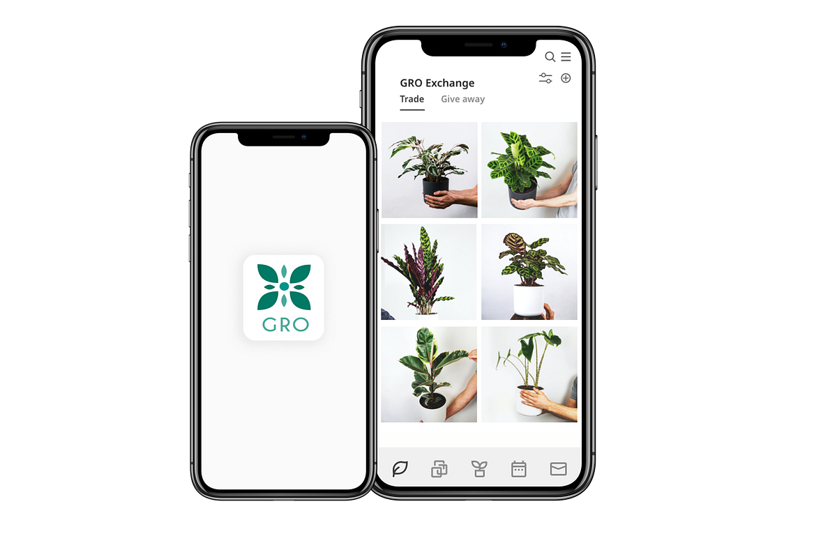 Case Study: GRO | by Katy Huang | Bootcamp | Medium