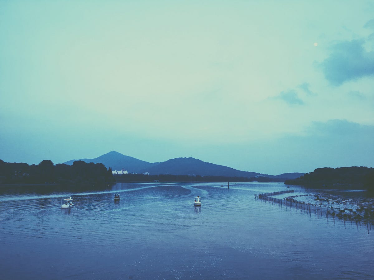 Intro to the Product Manager (PM) Role | by Zee Wang | ZeenspireLife ...