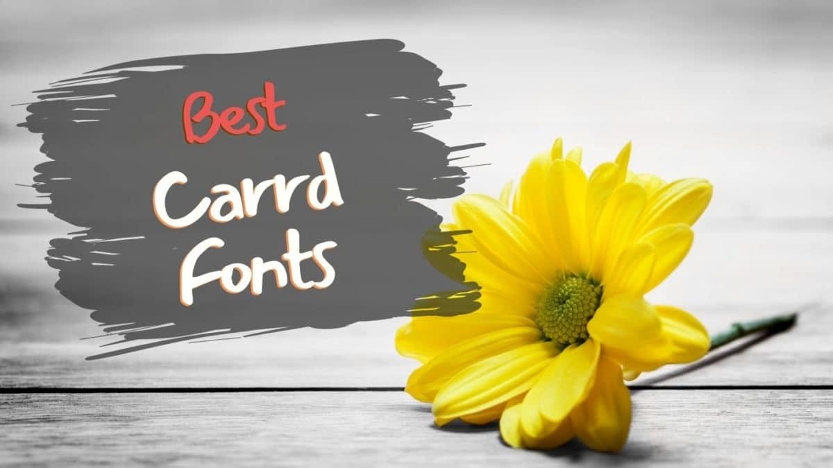 Designing Your Perfect Website Font: A Guide to Carrd’s Font Options ...