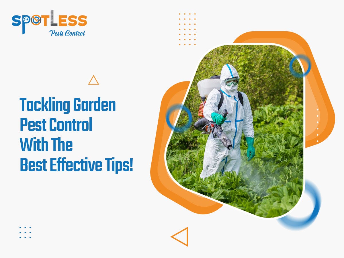 Tackling Garden Pest Control With The Best Effective Tips! | by ...