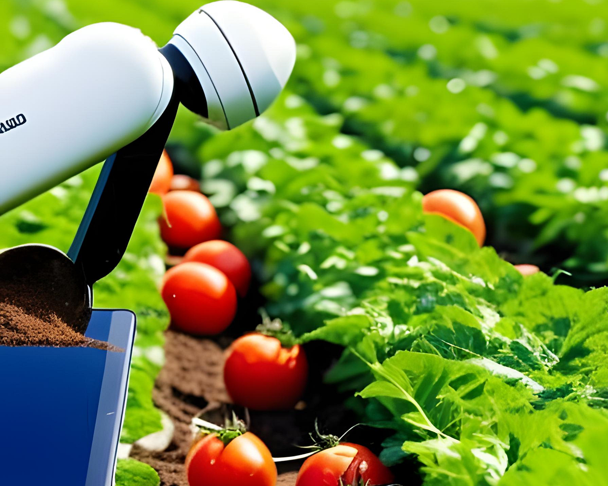 Revolutionizing Agriculture: How Technology Improves Food Production ...