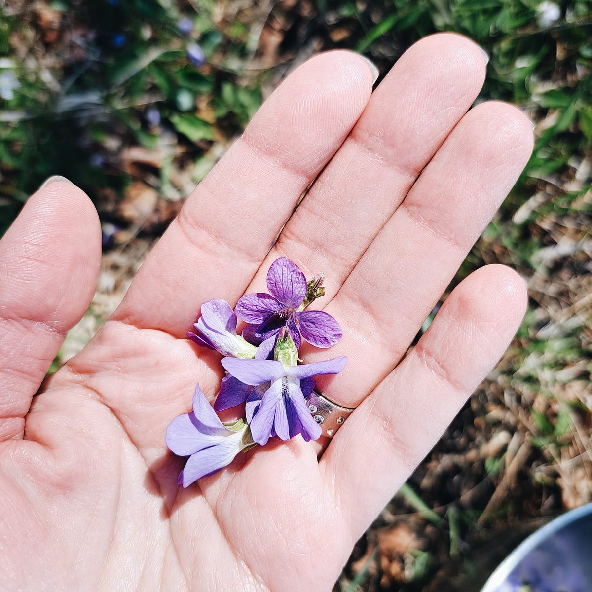 How to be Kind to Yourself. find quiet | by Corinne Cunningham | Medium