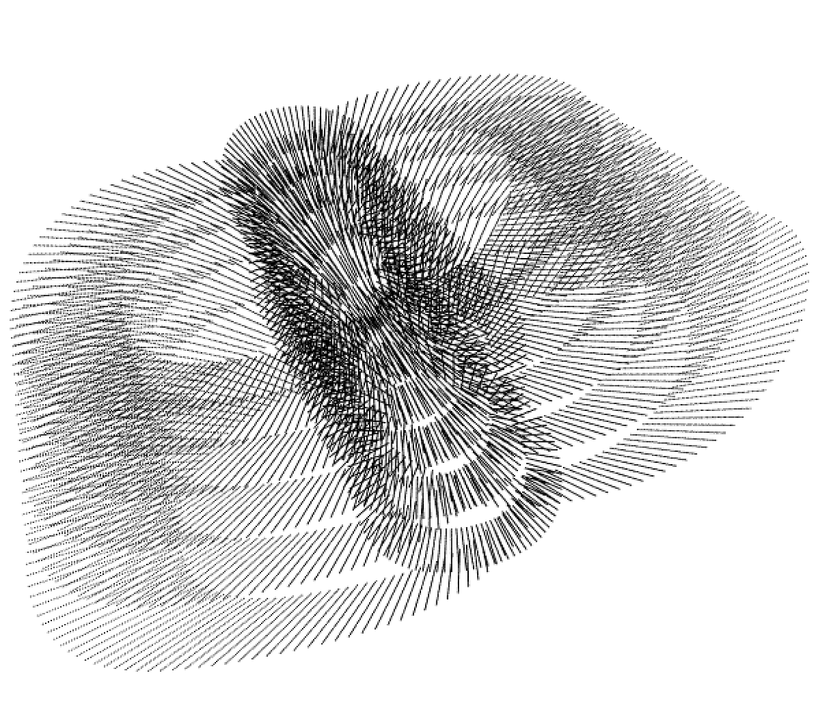 Cloud Fractals, Blooms, and Spinning Parametrics | by Chris Ried | Generative Art Weekly | Medium