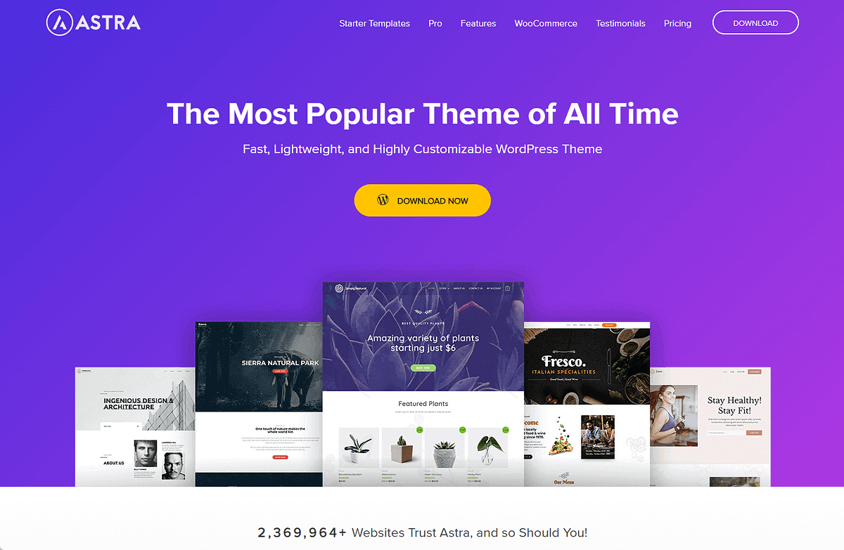Astra Theme Review 2024/2025: Is It the Best WordPress Theme for Speed and Customization? | by ...