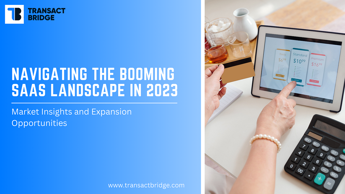 Navigating the Booming SaaS Landscape in 2023: Market Insights and ...