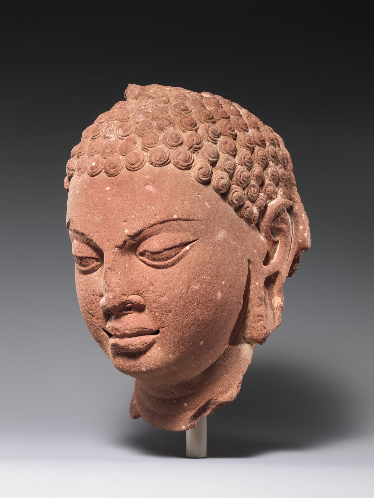 Buddhism’s Obsession with Numbers | by Gwyddion Flint | Medium