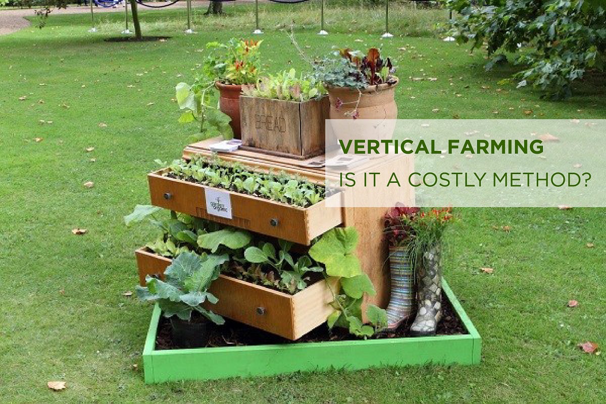 The Convenient Magic of Vertical Farming | by Harsha Vardhan | Medium