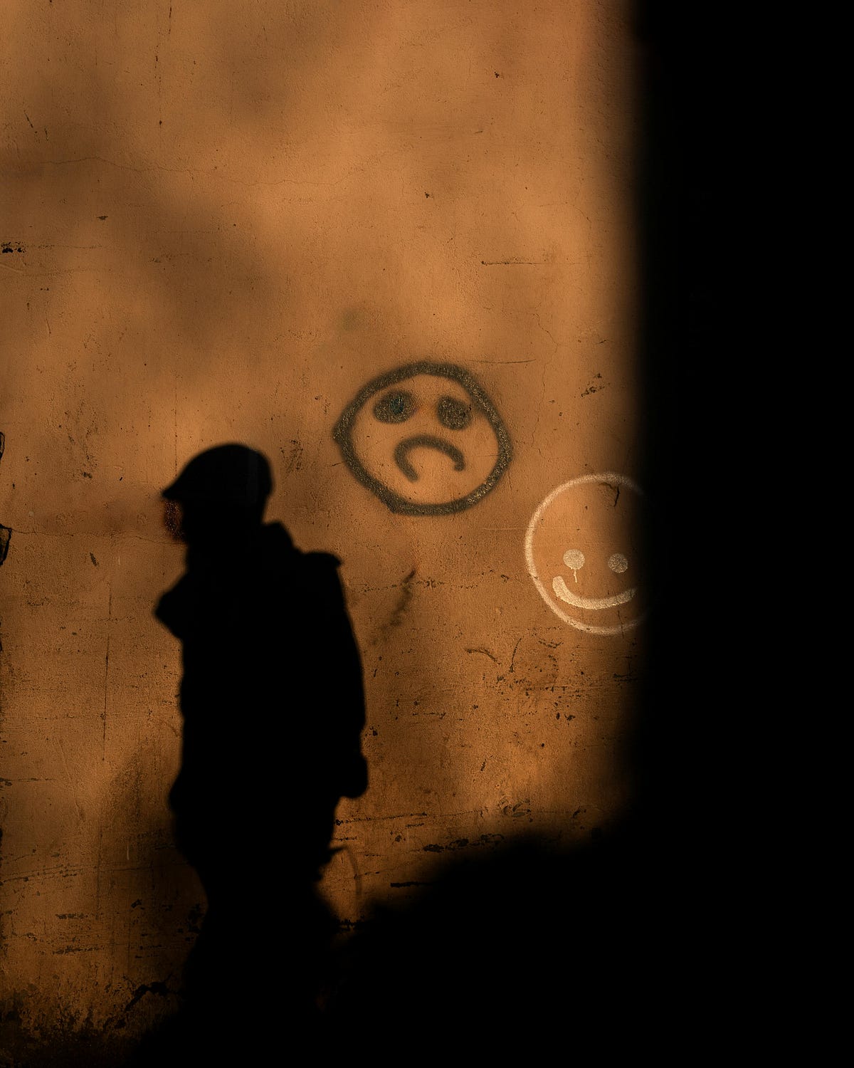 Can You Really Die of Sadness?. On heartbreak, emotional survival, and ...