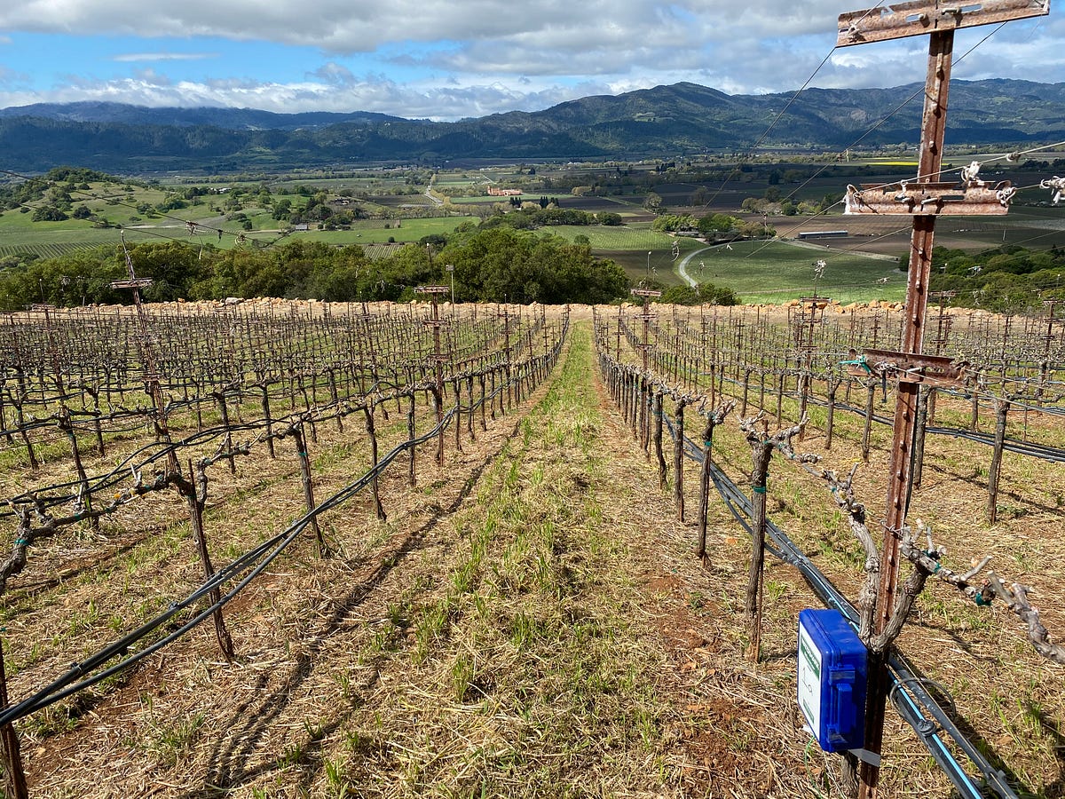 Teaming Up For Training. Napa RCD Joins the Farmworker… | by Napa RCD ...