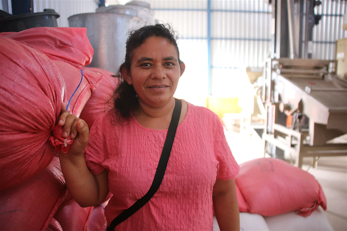 C’EST LE TEMPS DES RÉCOLTES. Résultats du programme coopératif | by WFP ...