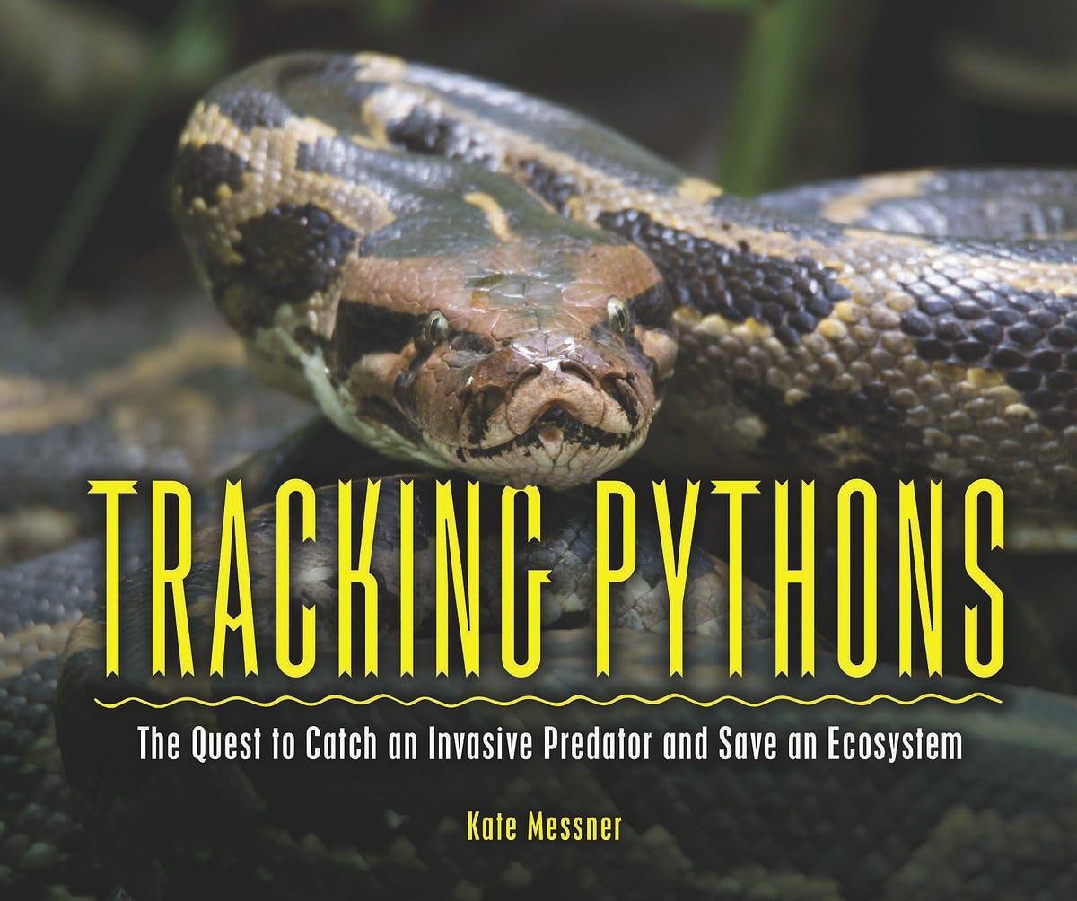 New book on Burmese pythons spotlights our efforts to save Florida’s ...