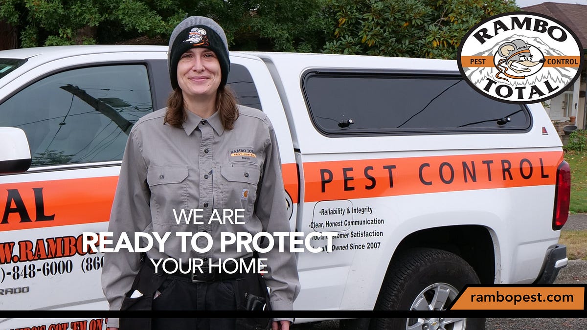 Keeping Your Home Safe and Free of Pests | by Rambopest Cs | Medium
