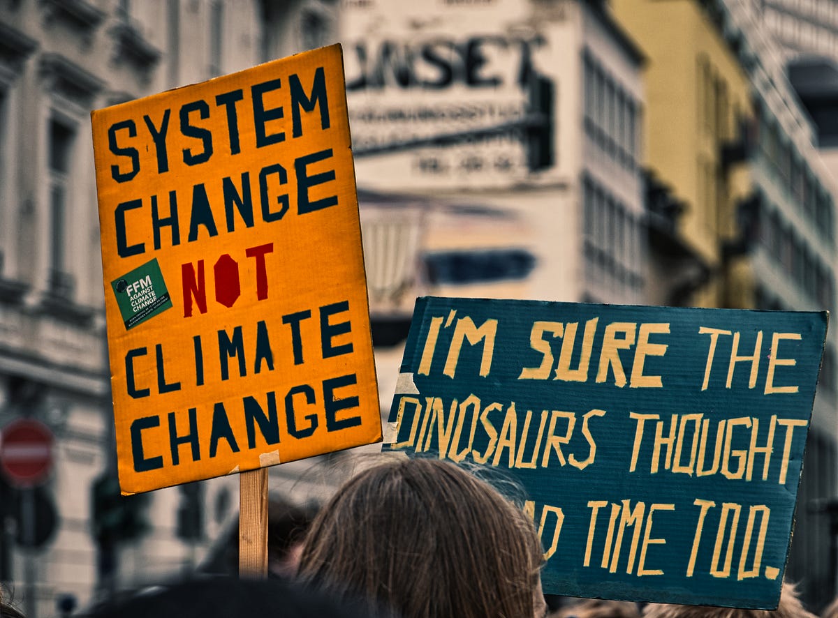 When Private Interests Have Captured the Systems that Govern Us | by ...