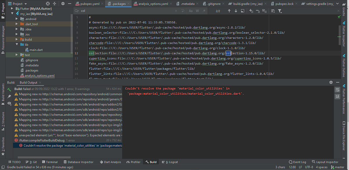 Couldn’t resolve the package ‘material_color_utilities’ in ’package:material_color_utilities ...