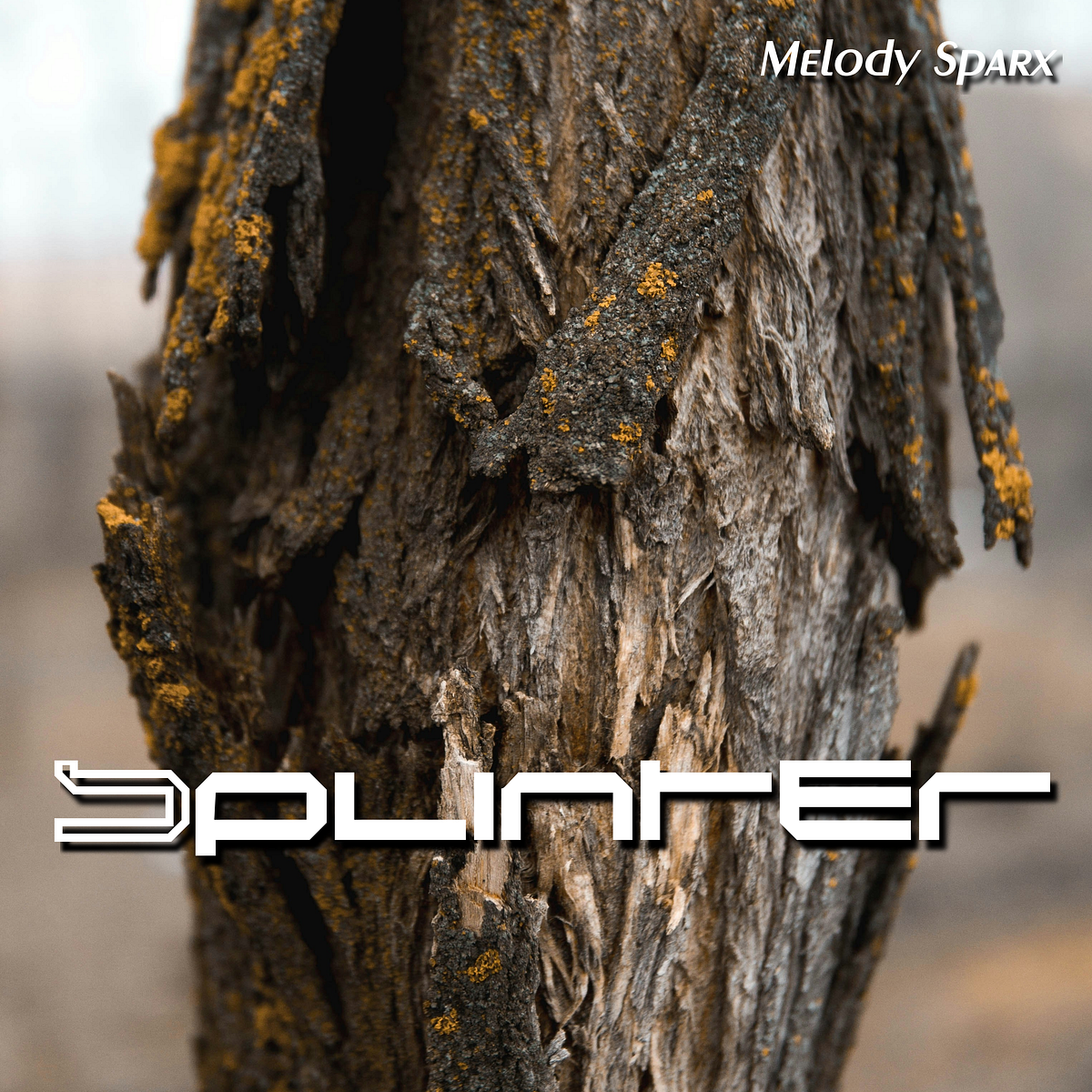 About Splinter. If Fractures was the shattering and… | by Melody Sparx ...