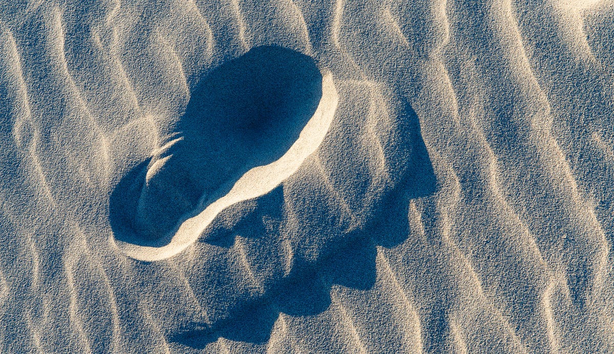 How photography demands your presence | by Steve Mansfield-Devine ...