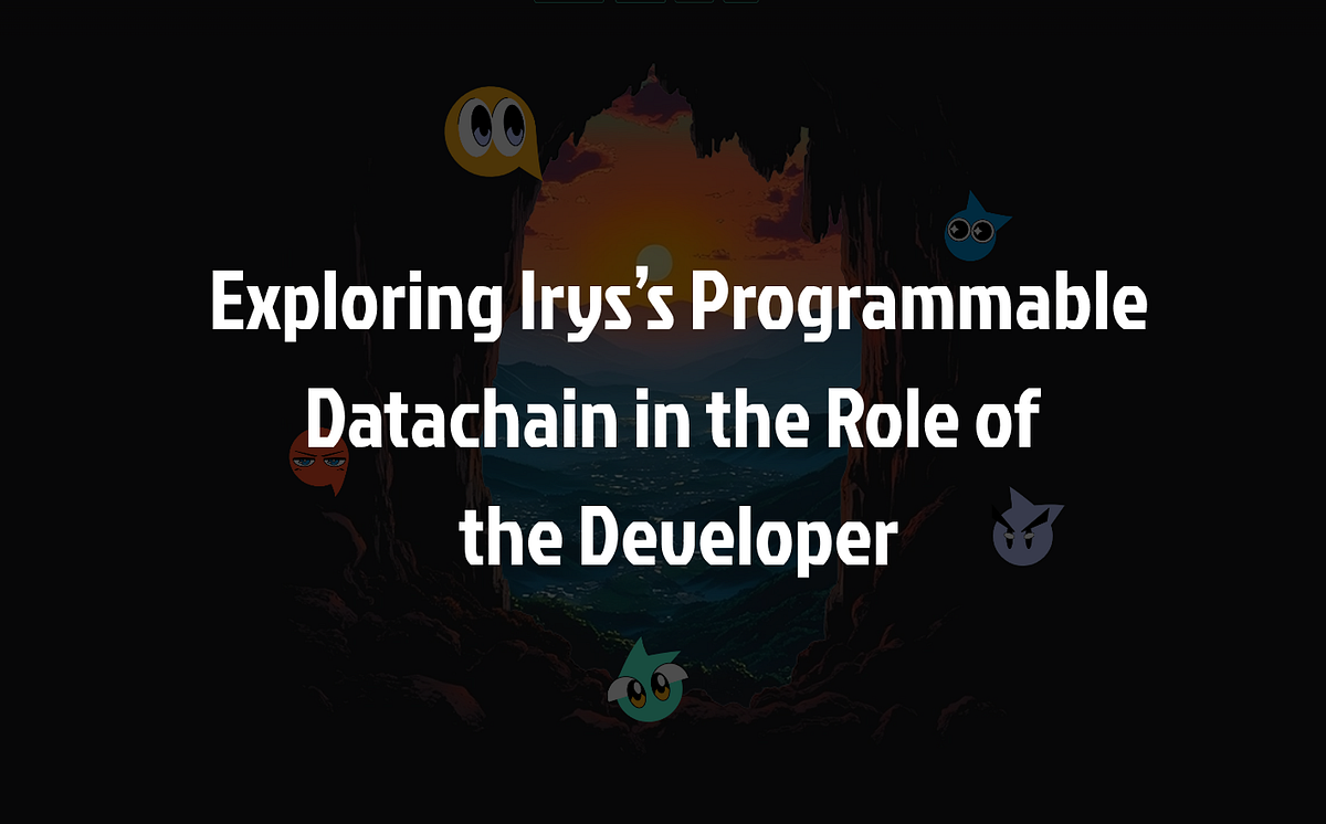 Exploring Irys’s Programmable Datachain in the Role of the Developer: A ...