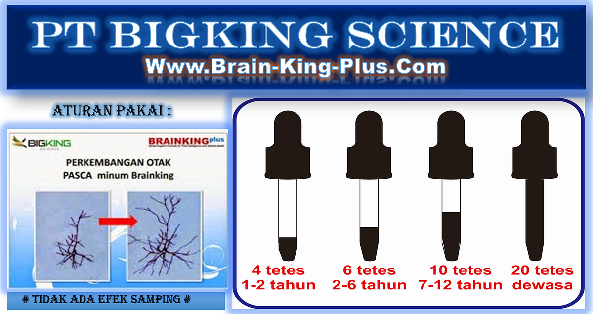 PROMO, 081299004050 (Bpk. Hasan), Jual Brainking Plus di banten | by brainkingplus banten | Medium
