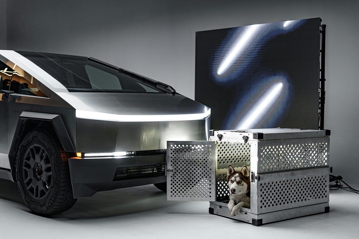 Is Tesla Already Dead? Is the Tesla brand still elite? | by Mr. Eric ...