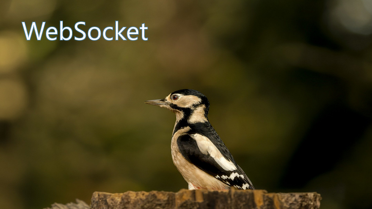 A Brief Introduction To Websocket By Maxwell Javascript In Plain 7599