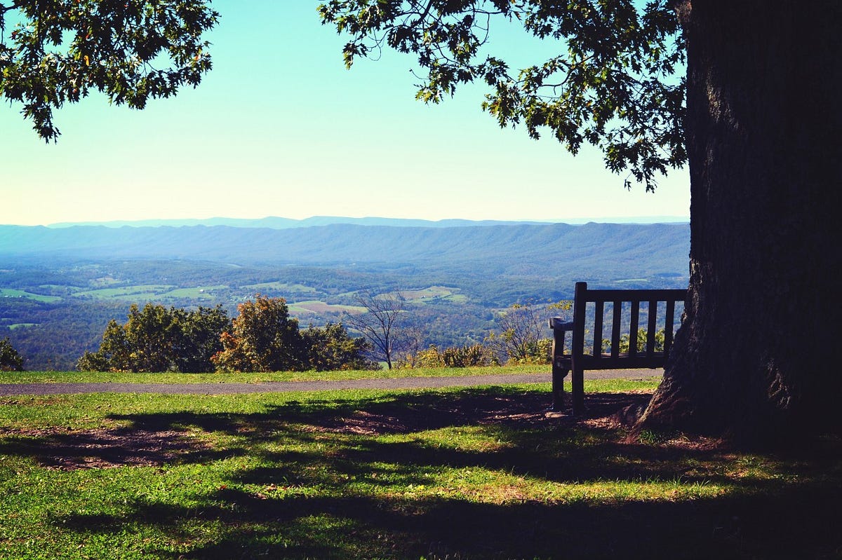 10 Ways to Figure Out What to Do With Your Life | by Benny Luo | Medium