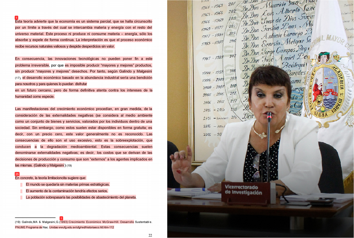 Fuera De San Marcos Hallamos Plagios En Tesis De Elizabeth Canales Vicerrectora Académica By