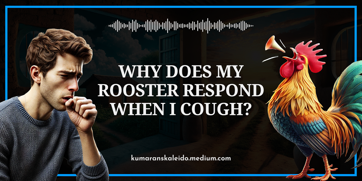 Why Roosters Respond to Coughing? An Analysis of Rooster Behavior | by ...