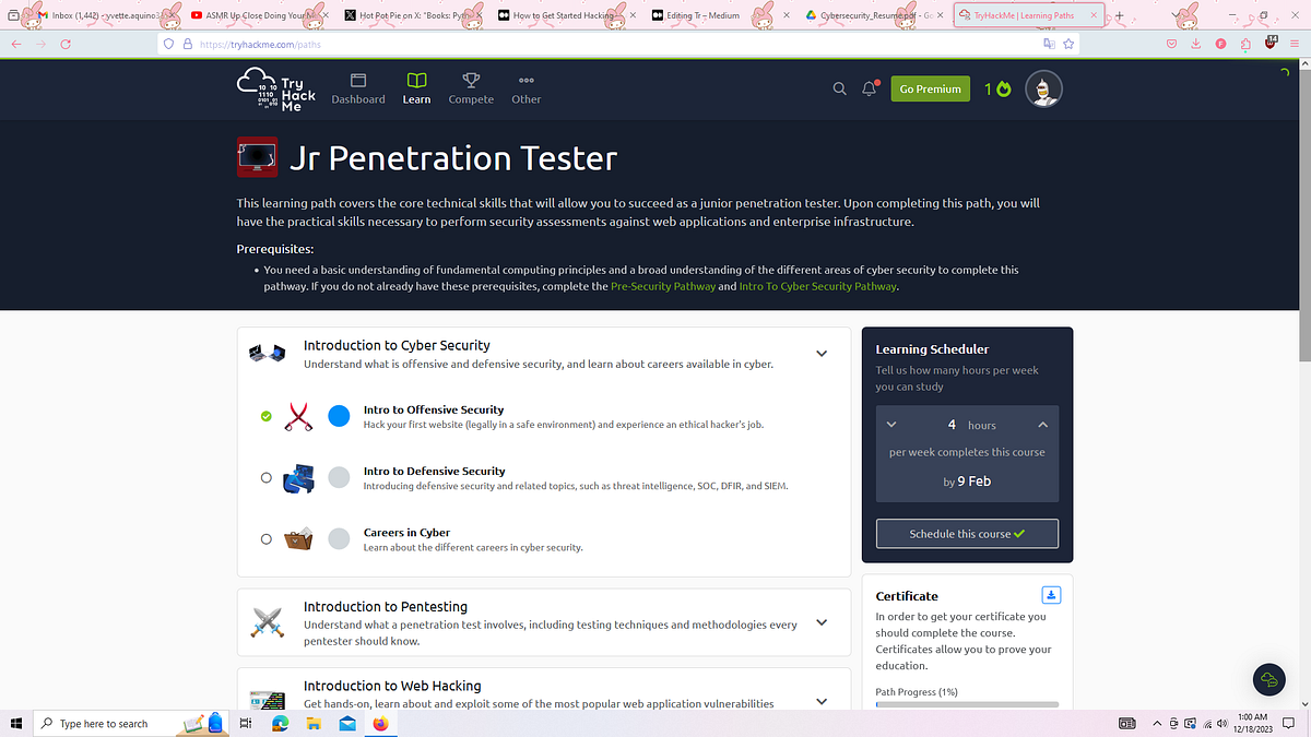 TryHackMe.com Jr Penetration Tester Pathway - Yvette Aquino - Medium