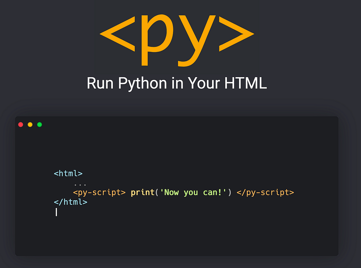 Talk To Me Nice: My Experience With PyScript | by Kudzayi Bamhare | Aug, 2023 | Medium