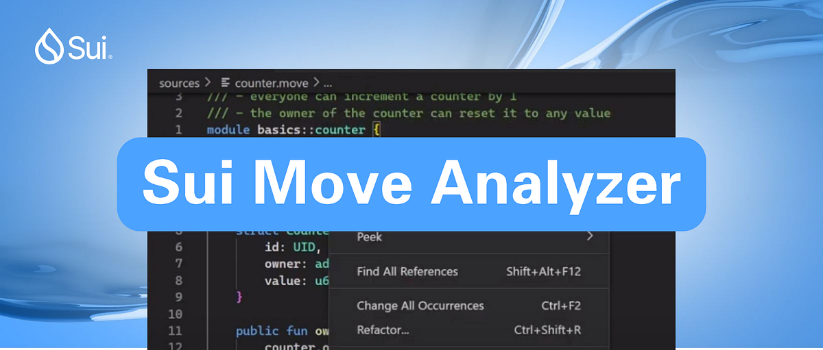 Sui Move Analyzer教程. Sui Move Analyzer是一个Visual… | by Sui Network | Sui Network CN | Medium