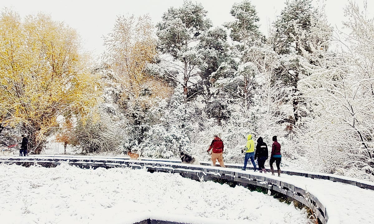 Clearing The Path. What still stains | by Paula Lechten | Beyond Lines ...