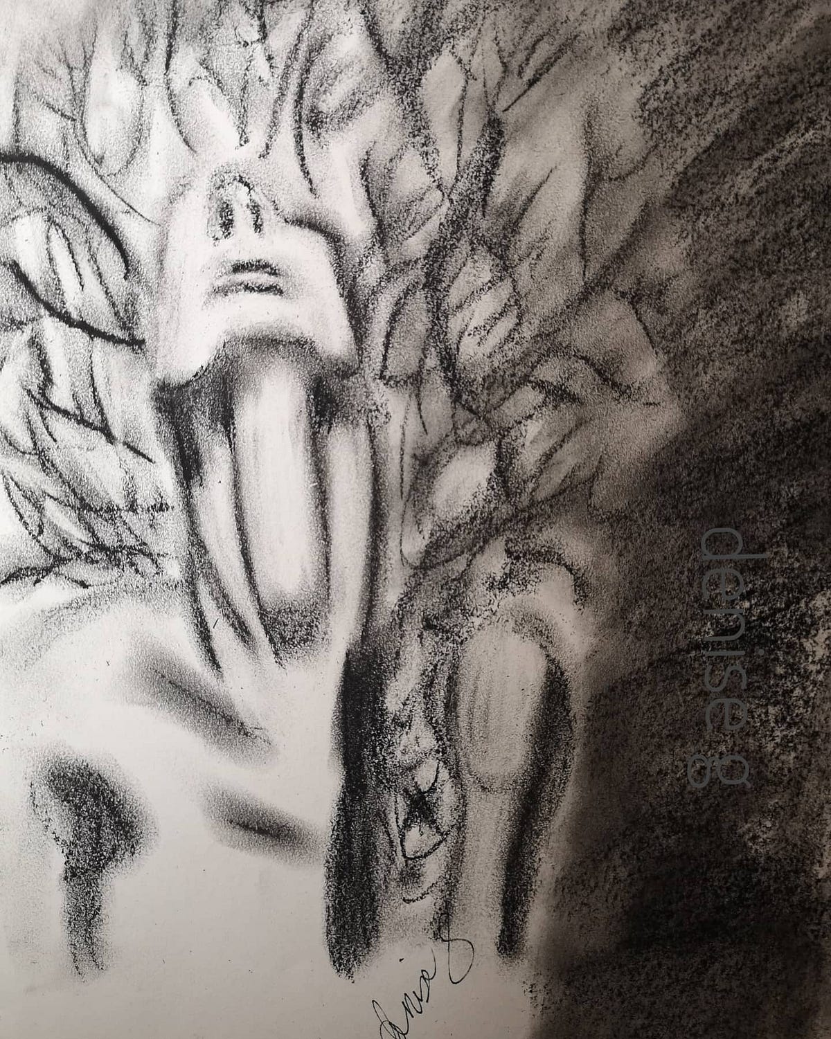 The Clearing. A poem | by Denise G | Know Thyself, Heal Thyself | Medium