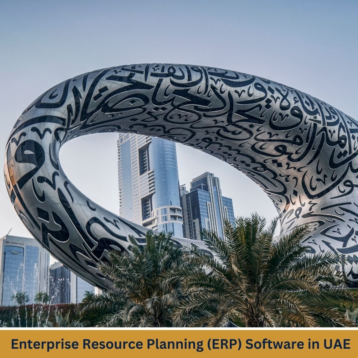 The Role of Enterprise Resource Planning (ERP) Software in Driving ...